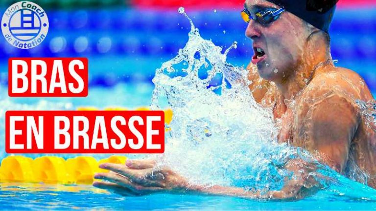 Le mouvement de bras en brasse | Mon Coach de Natation